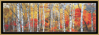 Gitta's - Mystic Stitch